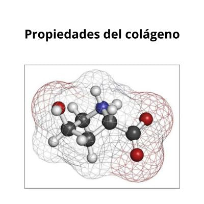 Propiedades del colágeno – Nuxel health&wellness